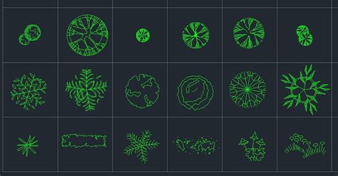 100 Trees Landscape 2D CAD Set 001 Architectural Autocad Blocks Plants Blocks Trees Plan