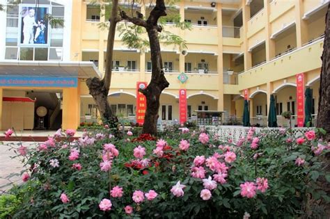 17 Các Loại Hoa Trồng ở Trường Học đẹp Dễ Chăm Sóc Chậu Trồng Cây