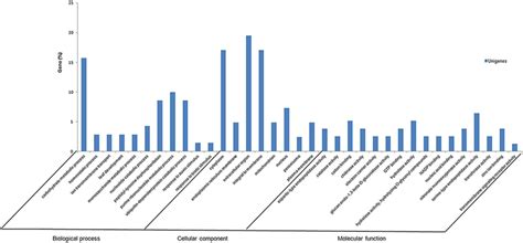 Summary Of Gene Ontology Annotation As Assigned By Blast2go Functional Download Scientific