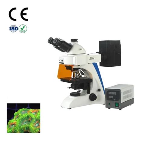 Microscope Lamptrinocular Fluorescence Microscope Notes For Microscopy