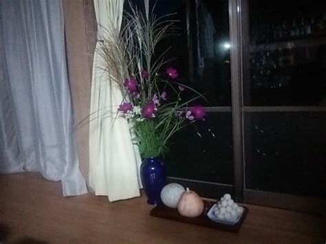 お月見 苔のカエルの雑記録