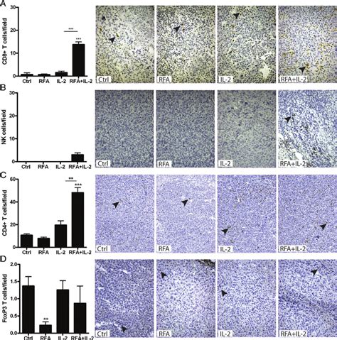 Mean Sem Immunohistochemical Staining Quantification Of Primary Tumor 3 Download Scientific