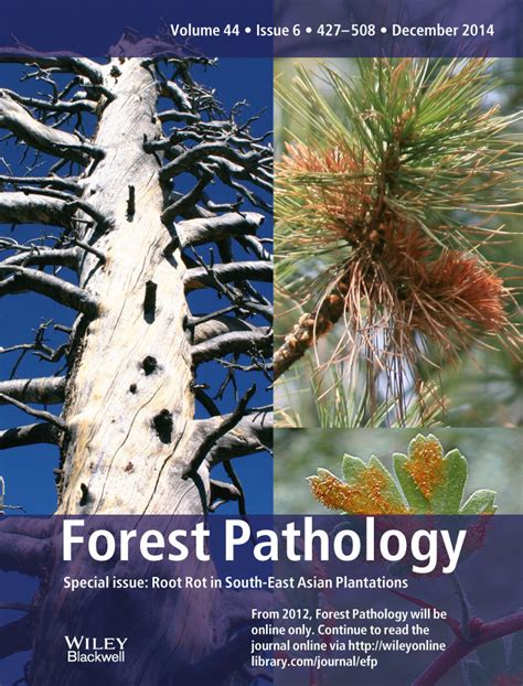 Ganoderma Steyaertanum As A Root‐rot Pathogen Of Forest Trees