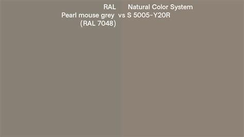 Ral Pearl Mouse Grey Ral 7048 Vs Natural Color System S 5005 Y20r
