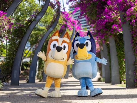 Una guía privilegiada sobre la ciudad natal de Bluey Notiulti