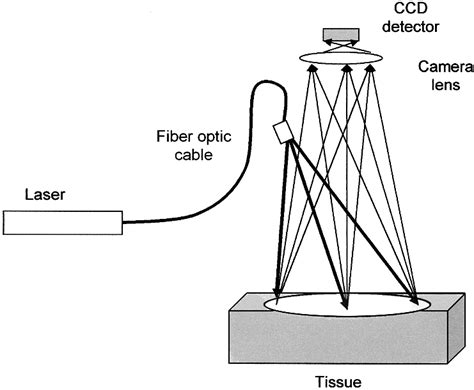 Schematic Diagram Of LSPI Optics Depicting The Use Of Full Field Download Scientific Diagram