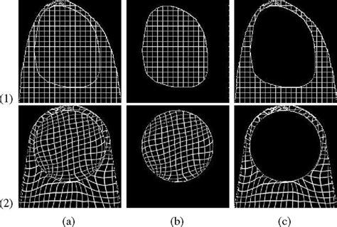 Deformation Mapping Shown With Grids Row 1 Shows The Source Images Download Scientific