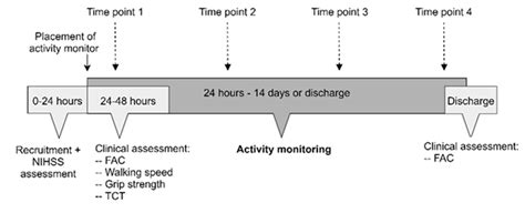 A Flow Diagram Of The Study Procedures Fac Indicates Functional Download Scientific Diagram