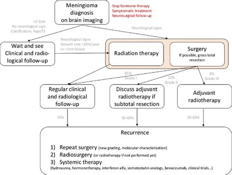 care algorithm for patients with intracranial meningiomas download
