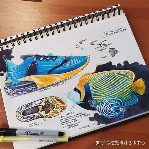 史上最全仿生设计素材内含100 张手绘图 知乎