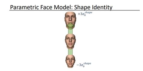 004 3d Face Modeling 3d Scanning And Motion Capture Parametric Face