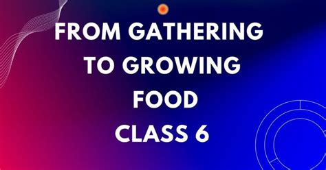 From Gathering To Growing Food Class 6 Social Science Mcqs