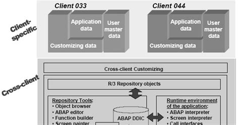 Abap Reports Sap Basis Software Logistics Introduction
