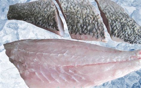 Frozen Seabass Fillet Go Food Company Sea Food Made In Vietnam
