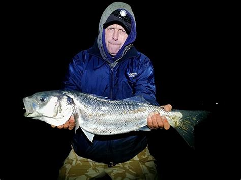 How To Catch Monster Bass With Peeler Crab