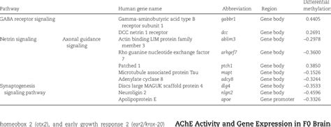 Ipa Of Dmgs Of Sperm Of Adult Medaka Following Bap Exposure Download