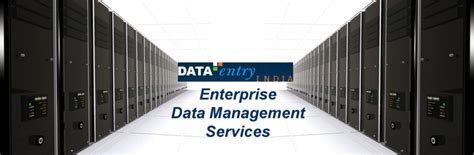 Large Volume Data Processing And Information Management Data Entry