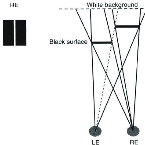 Stereogram Left And Bird S Eye View Right Of Monocular Gap