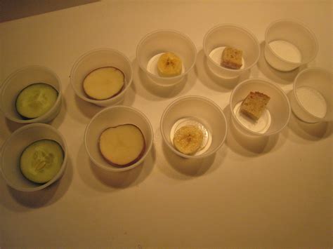 Starch Test The Kitchen Pantry Scientist