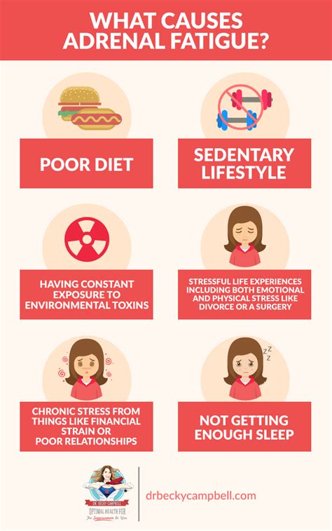 How The Adrenals Affect The Thyroid Dr Becky Campbell