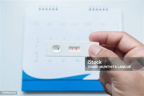 두 개의 줄무늬와 달력을 배경으로 임신 테스트기를 들고 있는 젊은 여성 긍정적 인 결과 근접 촬영 시점 촬영 하향식 보기 가족에 대한 스톡 사진 및 기타 이미지 Istock