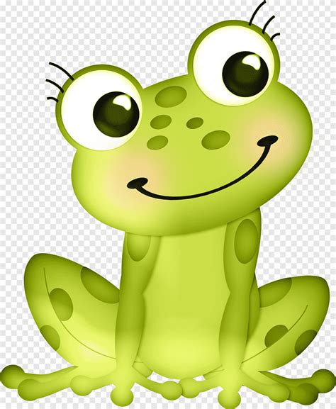 귀여운 개구리 개구리 양서류 Png Pngegg