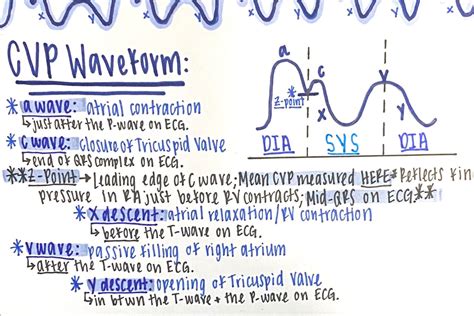 Central Venous Pressure Cvp For Nurses Etsy