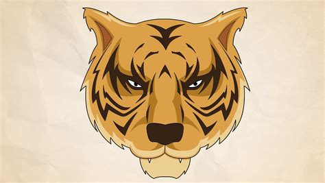Tiger Face Drawing Images Easy Tiger Face Drawing At Getdrawings