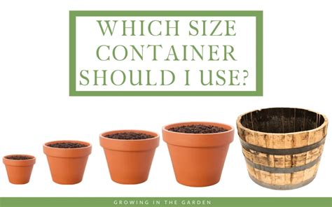 Guide To Container Sizes Which Size Container Should I 54 Off