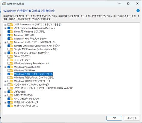 Windows Hypervisor Platform Nobuoka Pub