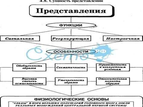Познавательные процессы. Память. Общая психология. Лекция 3 ...