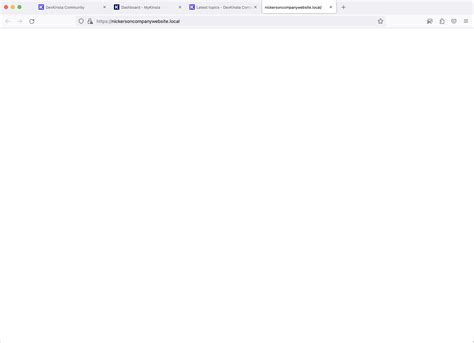 Imported Kinsta Site Blank Bug Reports Kinsta Community