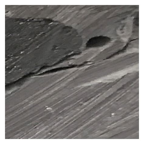 A Deep Convolutional Neural Network Model For Intelligent Discrimination Between Coal And Rocks