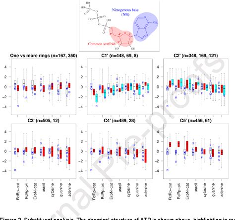 Figure 2 From Subtle Structural Differences Of Nucleotide Analogs May Impact Sars Cov 2 Rna