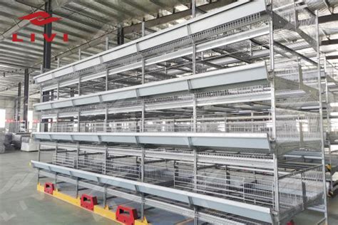 Layer Chicken Cages Battery Chicken Cages For Sale Factory Price