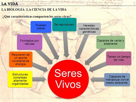 Ciencias 1 Características De Los Seres Vivos