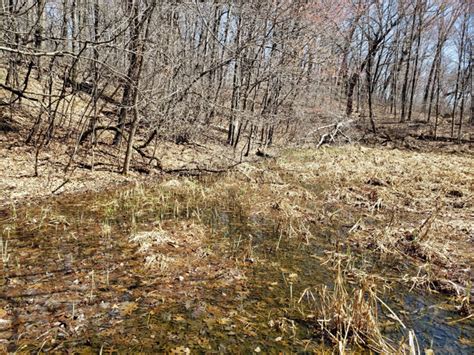 Minnesota Mosquitoes By The Month Metropolitan Mosquito Control District
