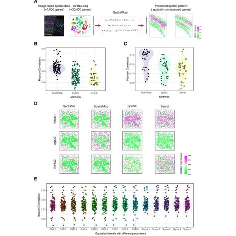Summary Of Ai Methods In Spatial Transcriptomics Analysis Download