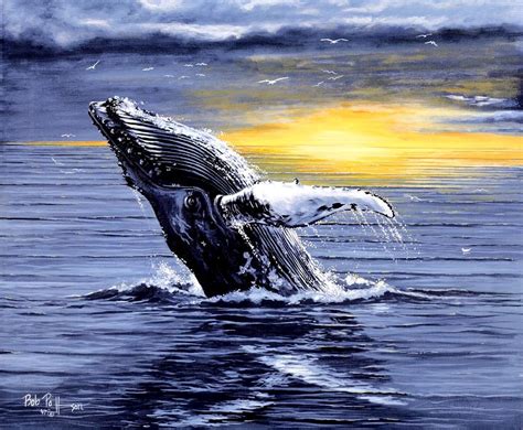 Humpback Whale Breaching Drawing