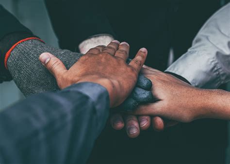 Home Pest Control Experts Of Bowling Green