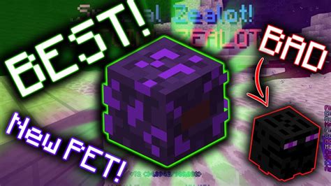 New Best Pet For Zealots Hypixel Skyblock Youtube