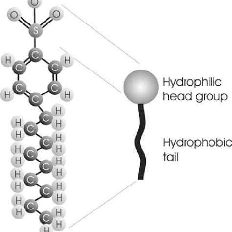 A Surface Active Surfactant Molecule Contains A Charged Head Group