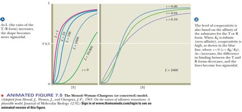 The Concerted And Sequential Models For Allosteric Enzymes