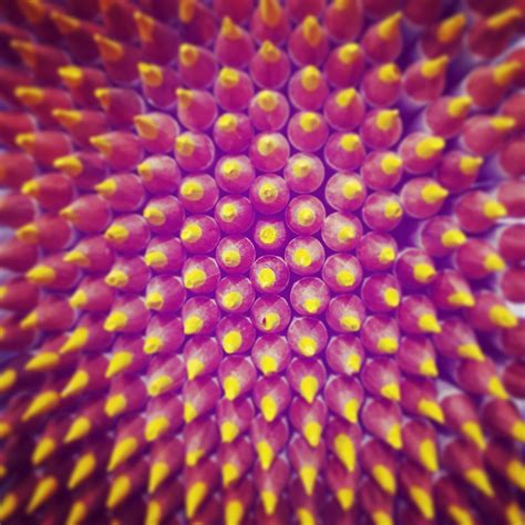 Amarillo Lapices Total Foto Gratis En Pixabay Pixabay
