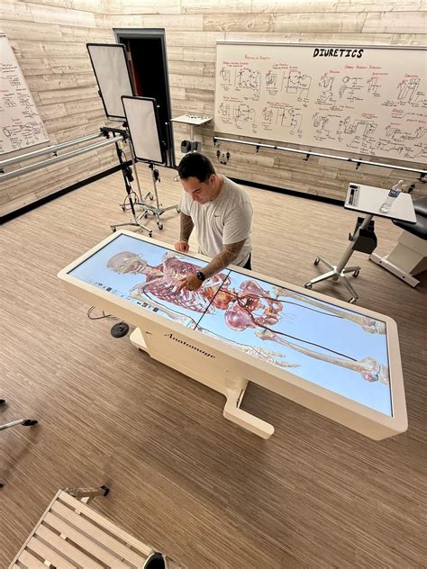 Ninja Nerd On Linkedin Ninjanerd Anatomyeducation Anatomage