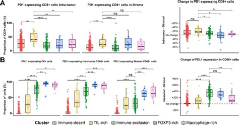Cell Phenotyping Results A Left Panel The Proportion Of