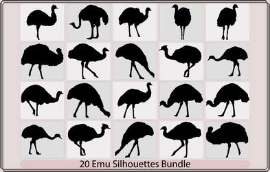 Emu Silhouette Vector Images Over 480