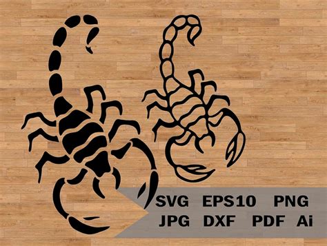 Scorpio Template Svg Transfer Scorpion Svg Laser Vinyl Etsy