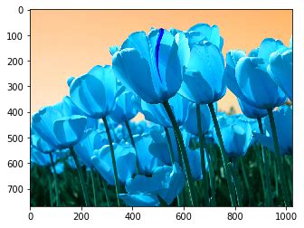 Different Ways To Load Images In Python From Scratch