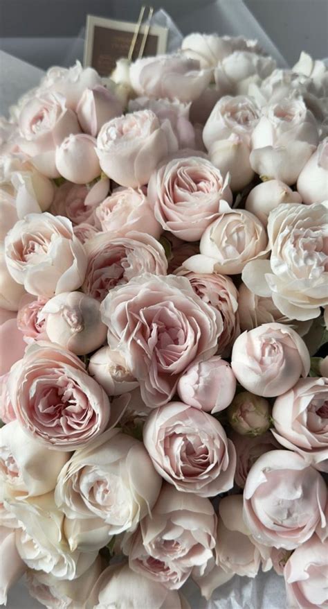 Flowers Майские цветы Простые цветочные композиции Розовые пионы